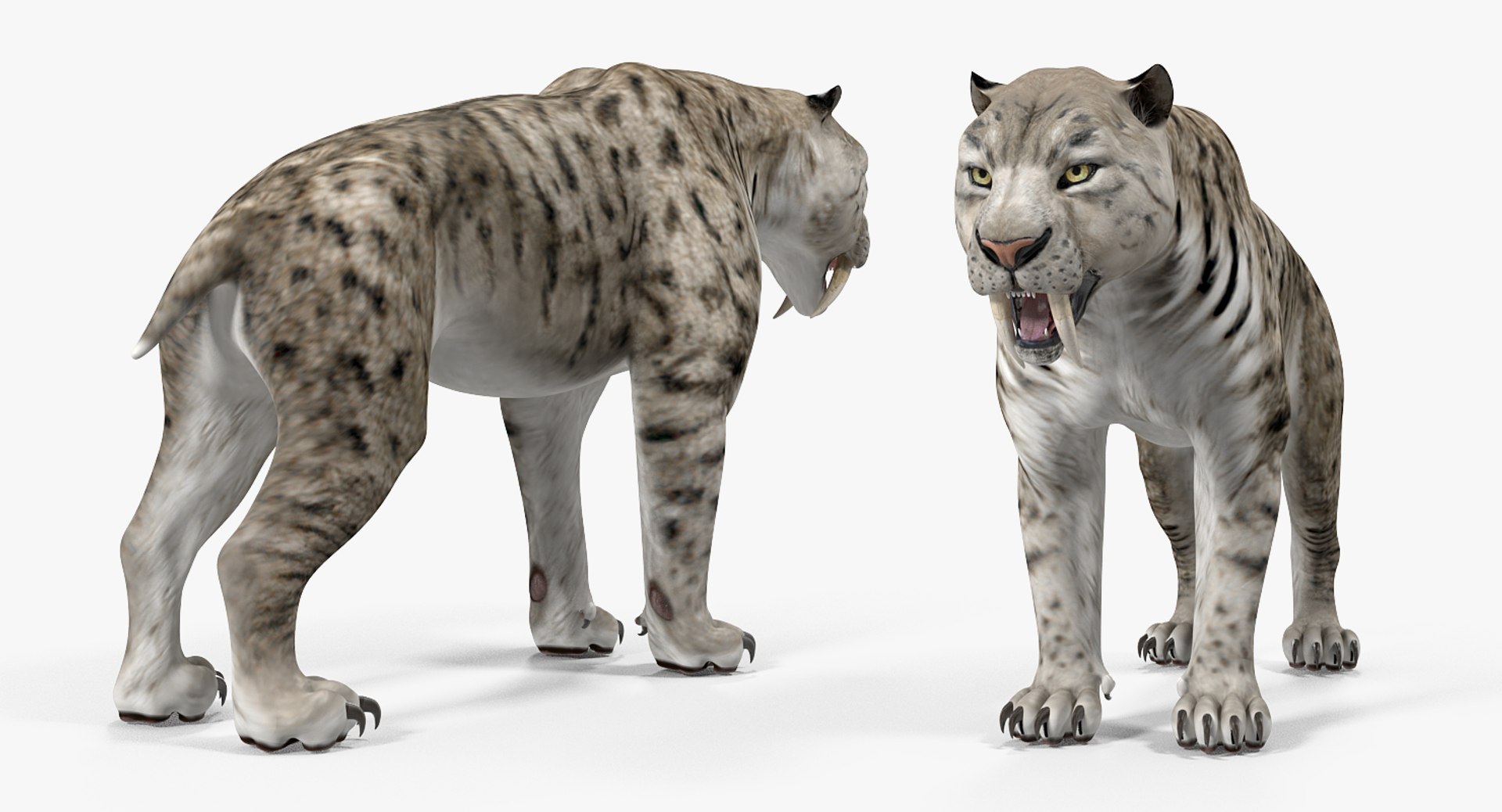 Arctic Saber Tooth Cat 3D Model - TurboSquid 1329521