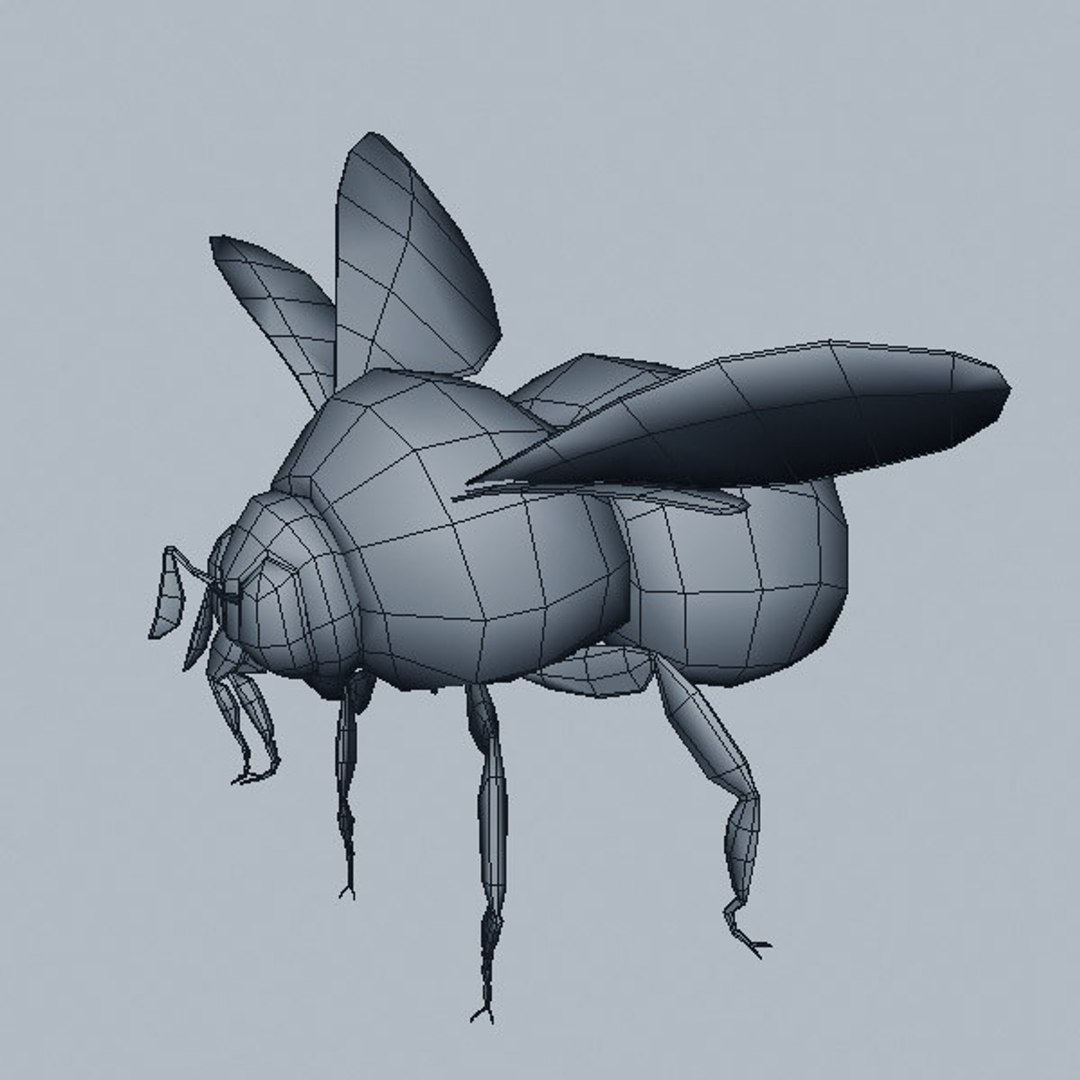 3d Fly Bumblebee Model