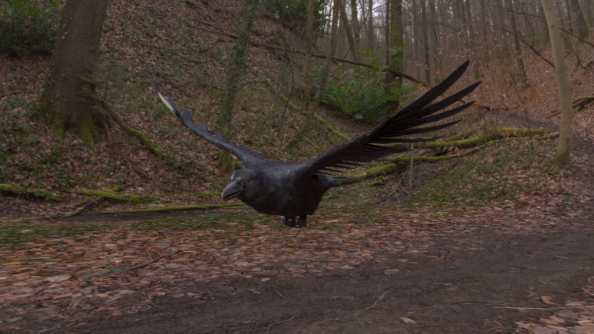 Raven ANIMATED 3D model - TurboSquid 2063198