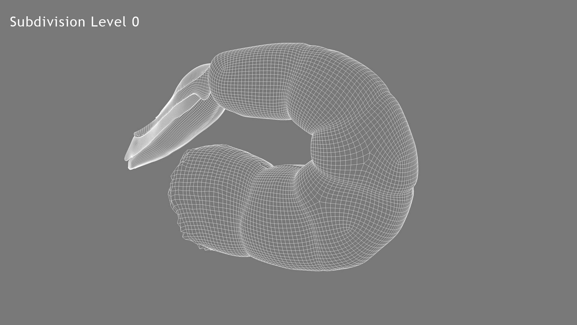 Shrimp Prawn Crustacean 3D Model - TurboSquid 1576351