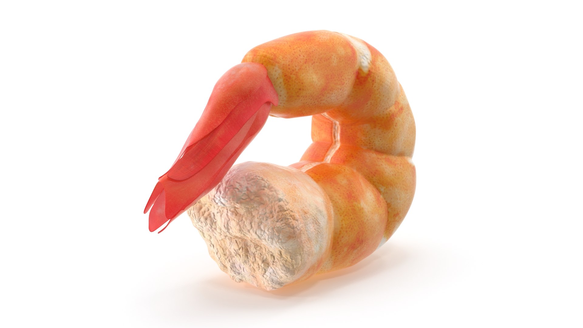 Shrimp Prawn Crustacean 3D Model - TurboSquid 1576351