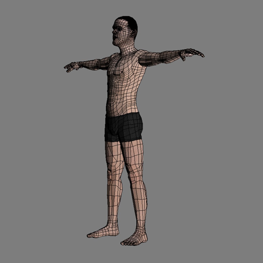 3ds max realistic boxer rigged 1