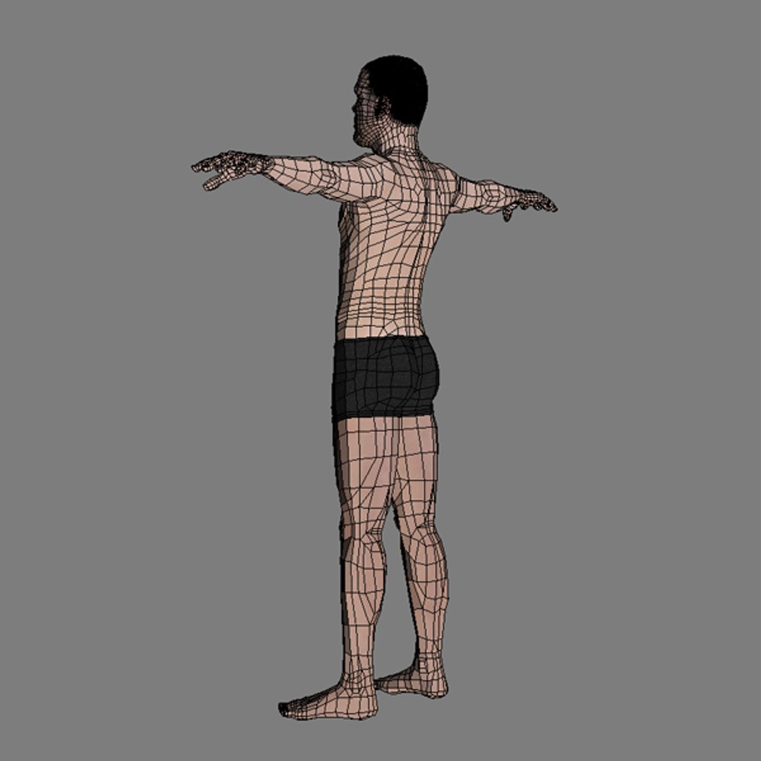 3ds max realistic boxer rigged 1