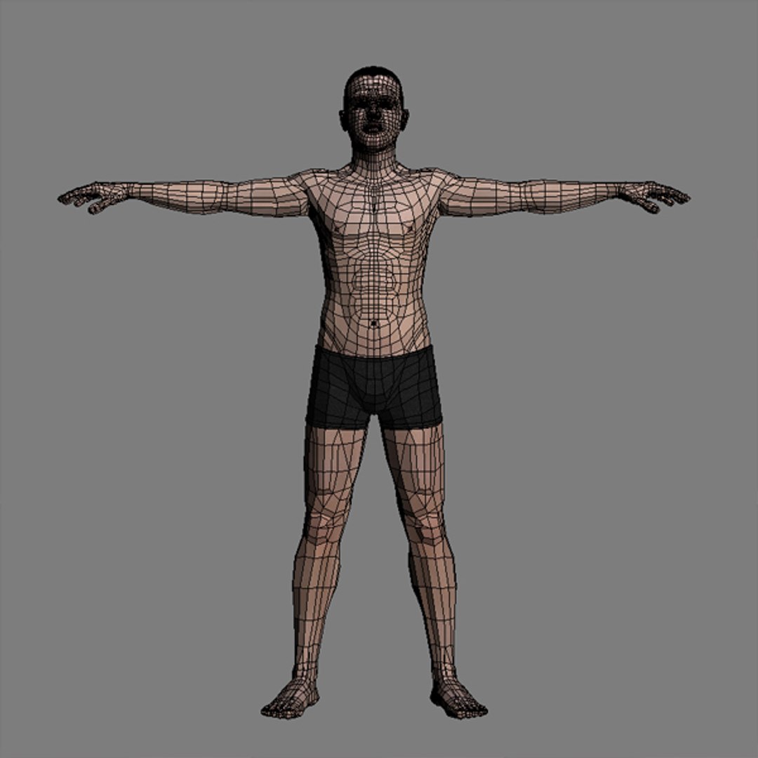 3ds max realistic boxer rigged 1
