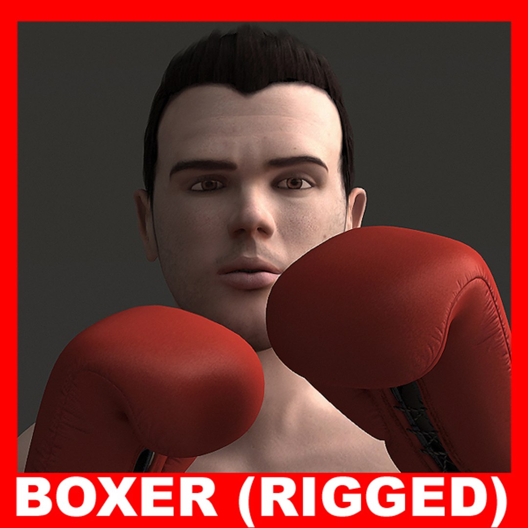 3ds max realistic boxer rigged 1