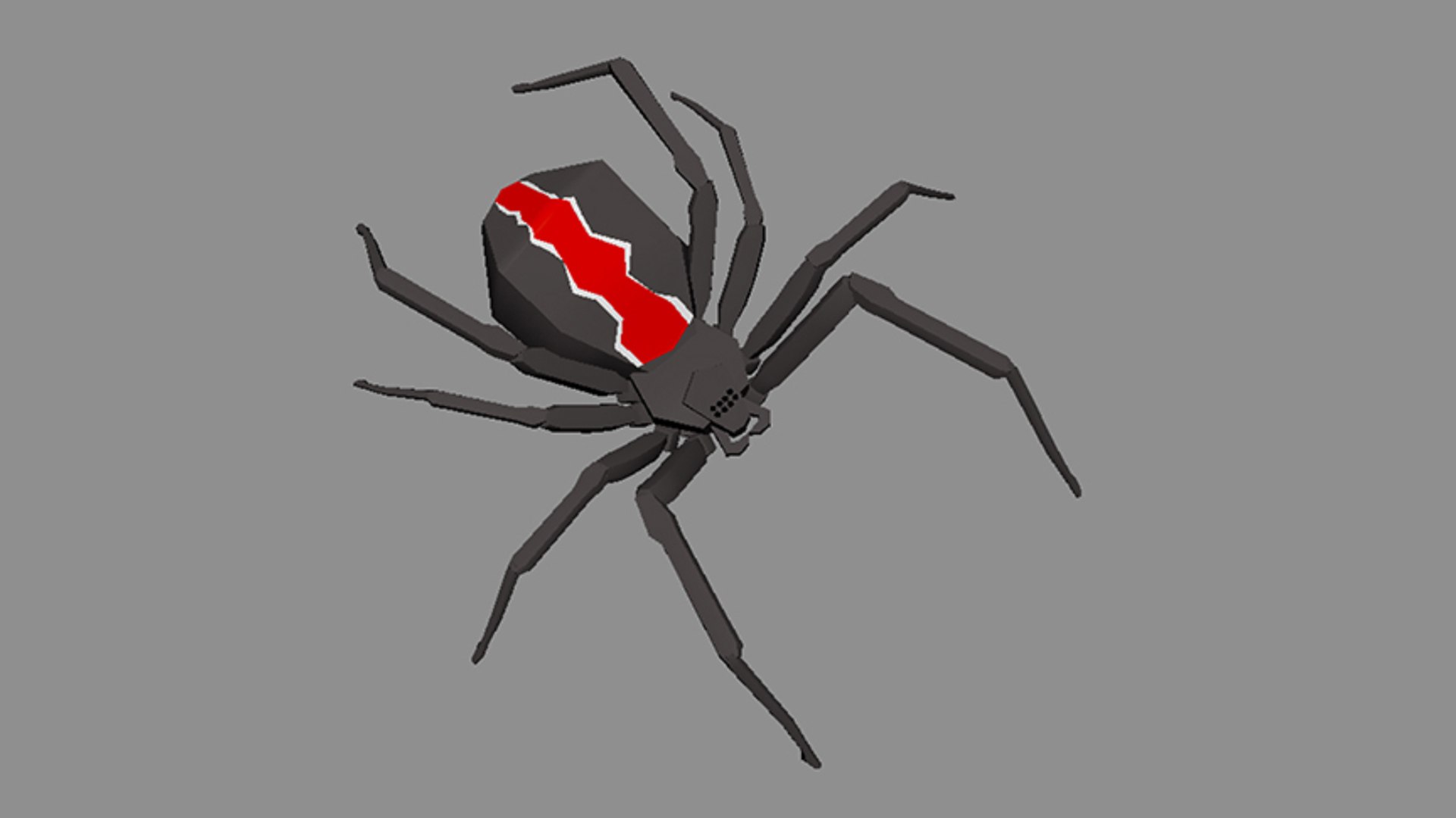 Spider rigged redback model - TurboSquid 1700009