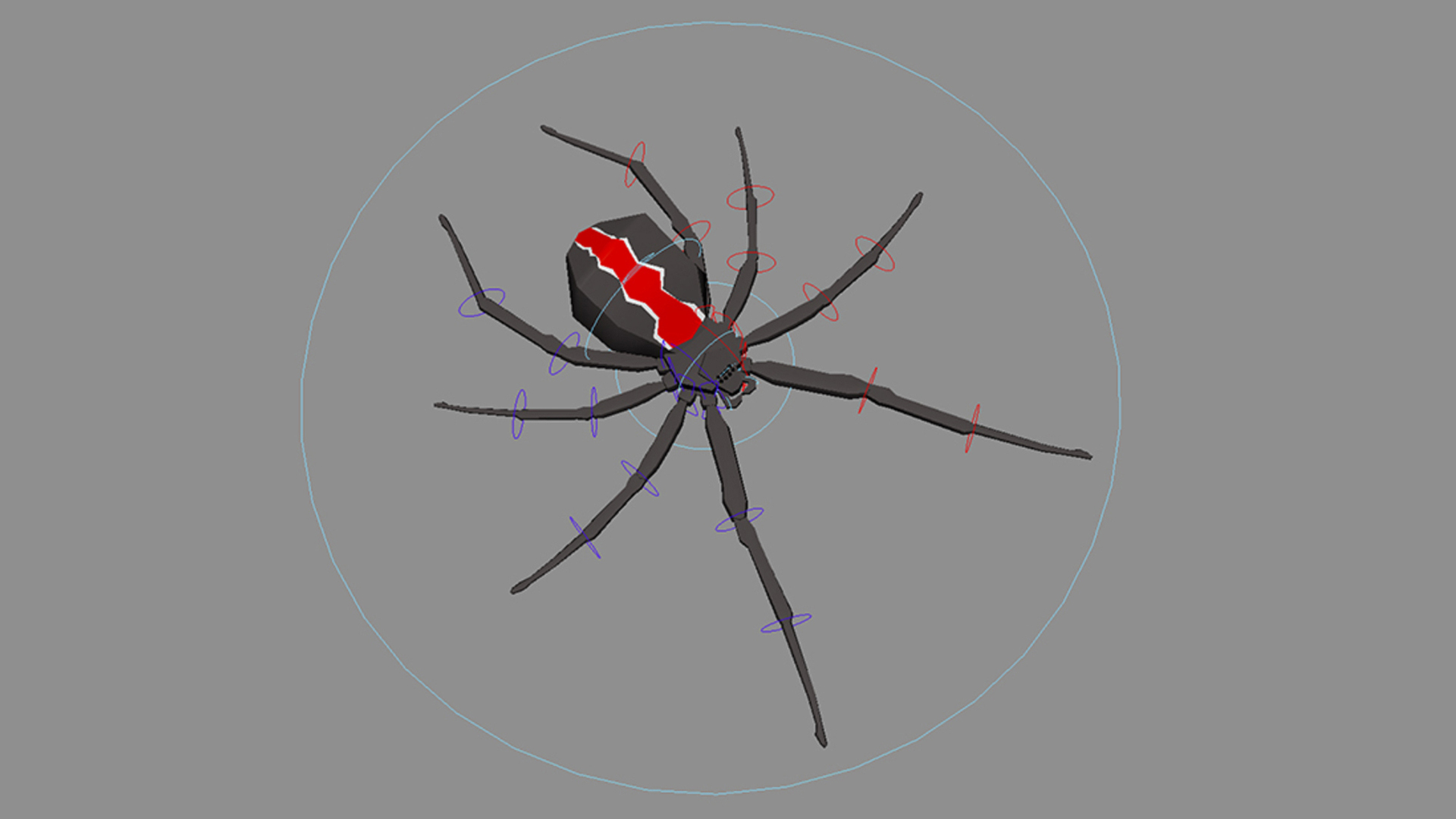 Spider rigged redback model - TurboSquid 1700009
