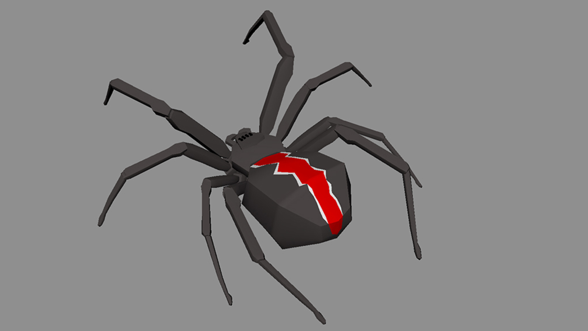 Spider rigged redback model - TurboSquid 1700009