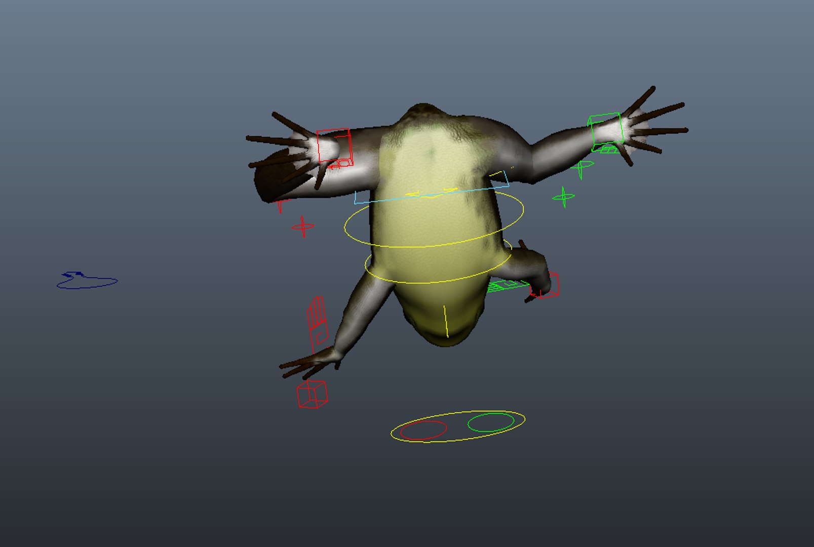 3D toad rigged frog model - TurboSquid 1391682
