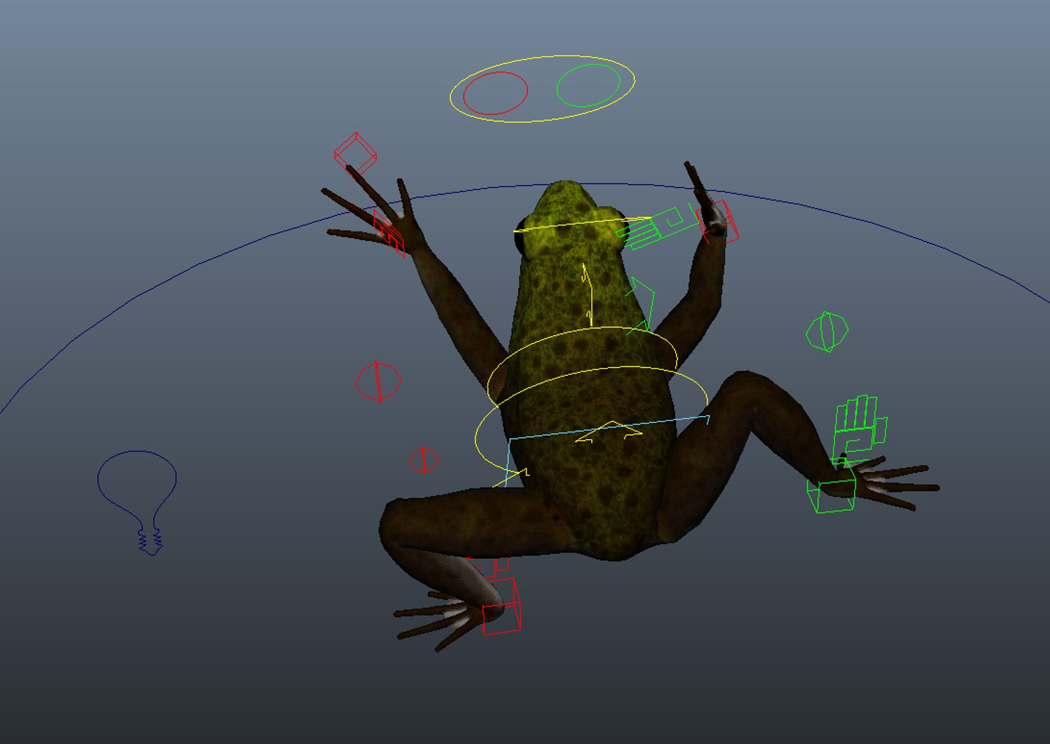 3D toad rigged frog model - TurboSquid 1391682
