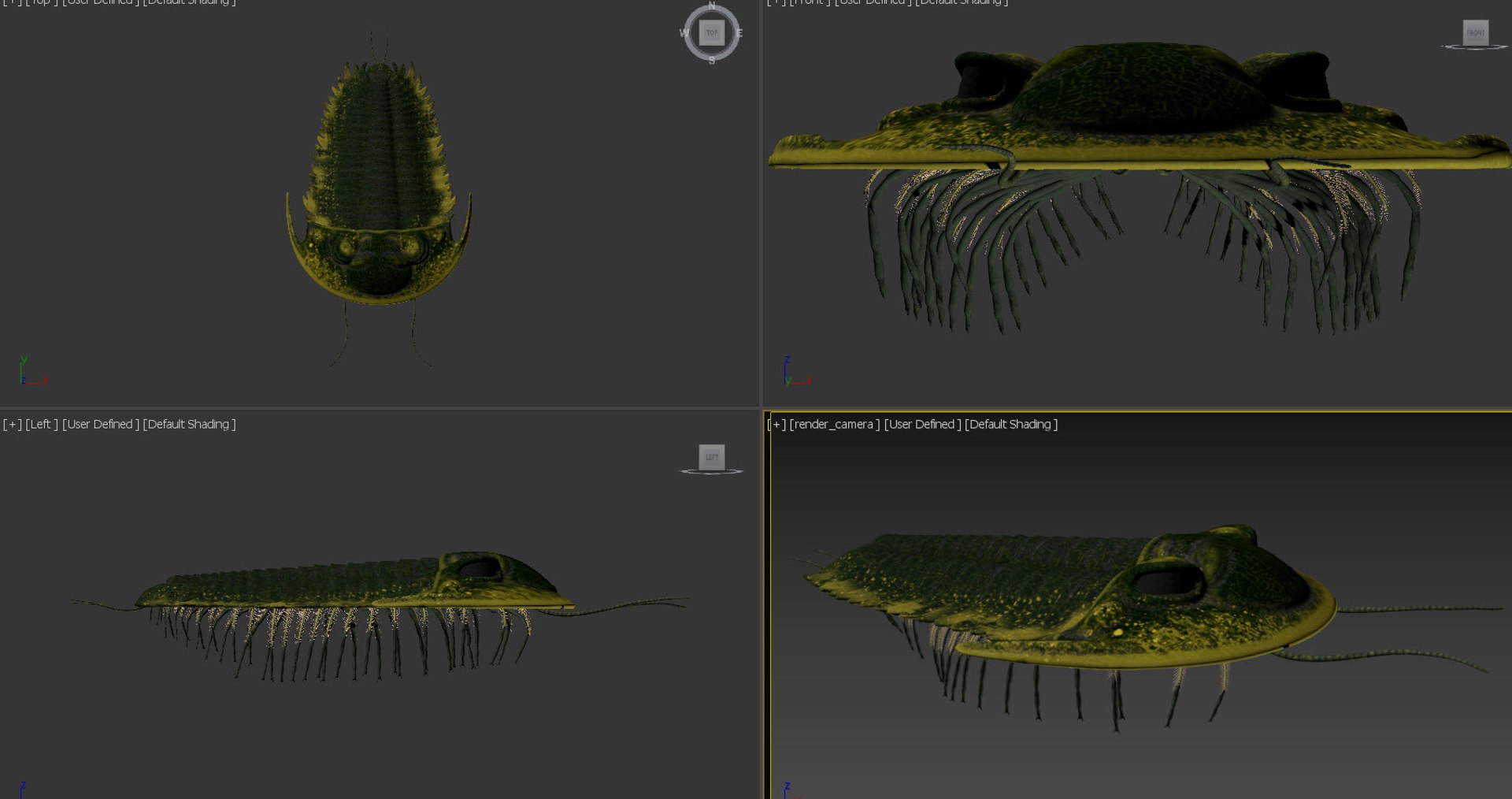 Trilobite Animated 3D Model - TurboSquid 1782603