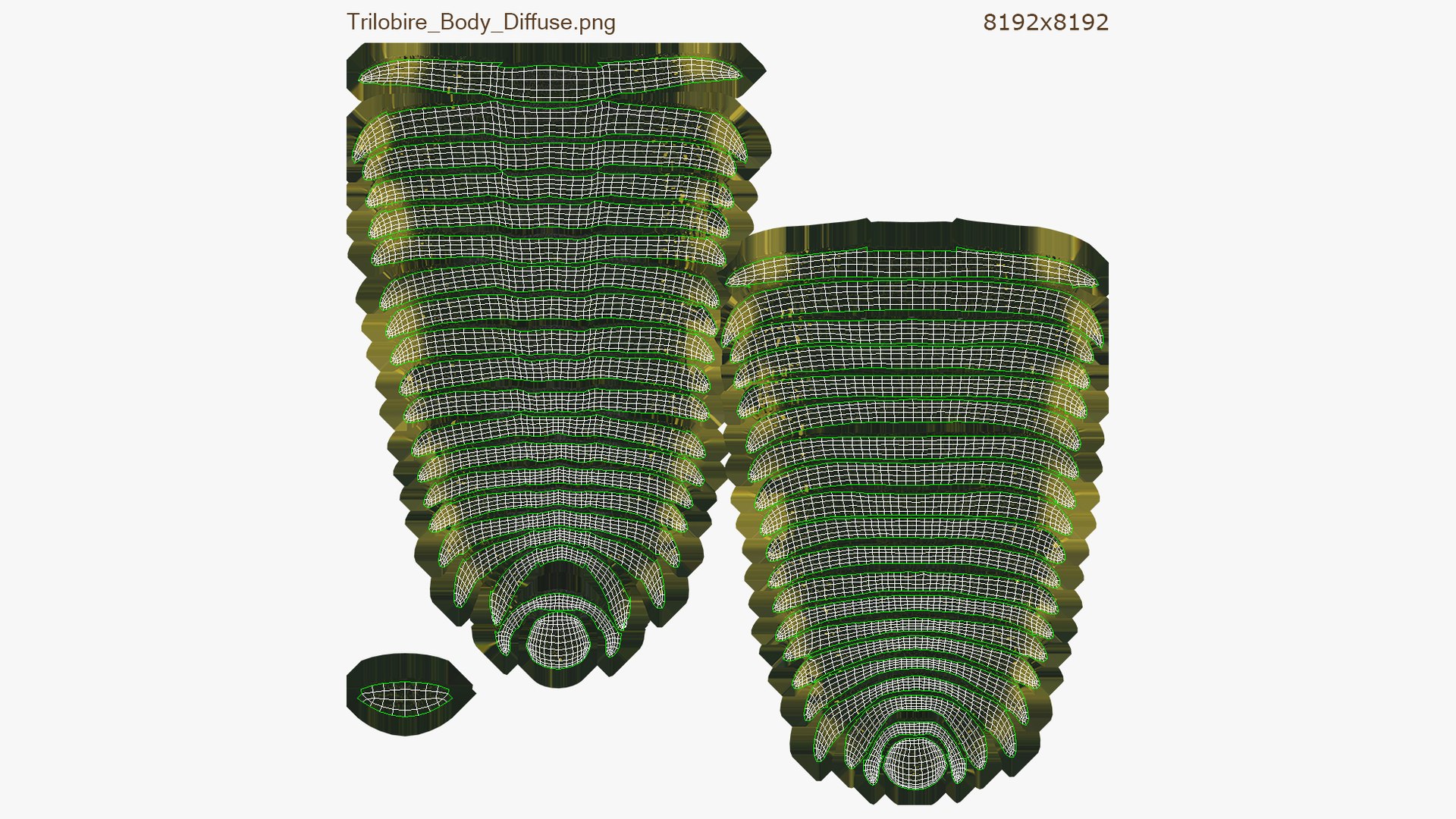 Trilobite Animated 3D Model - TurboSquid 1782603