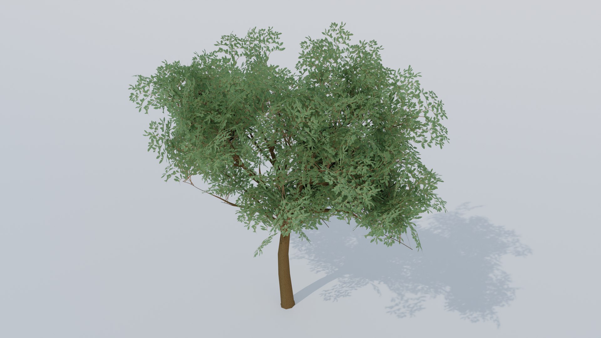 Simple Oak Tree Collection 3D Model - TurboSquid 2152460