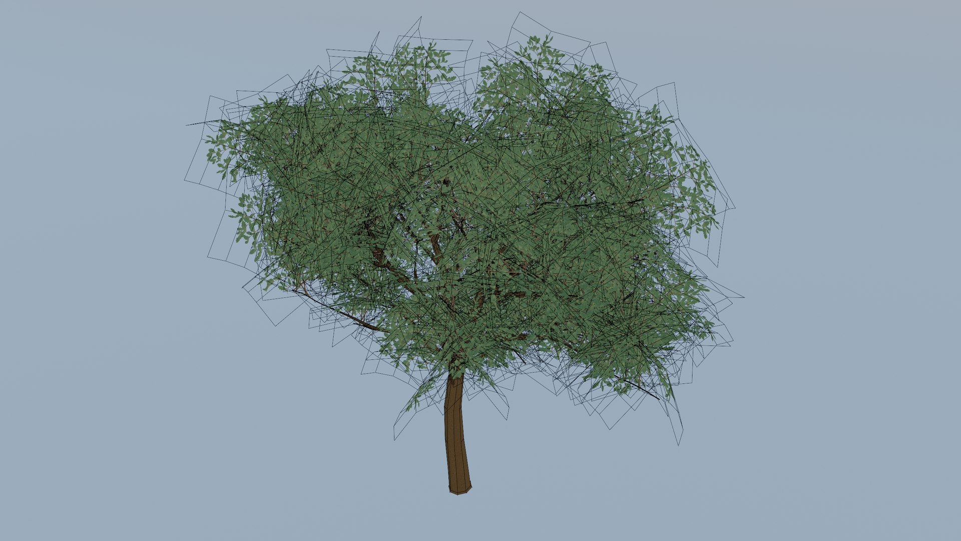 Simple Oak Tree Collection 3D Model - TurboSquid 2152460