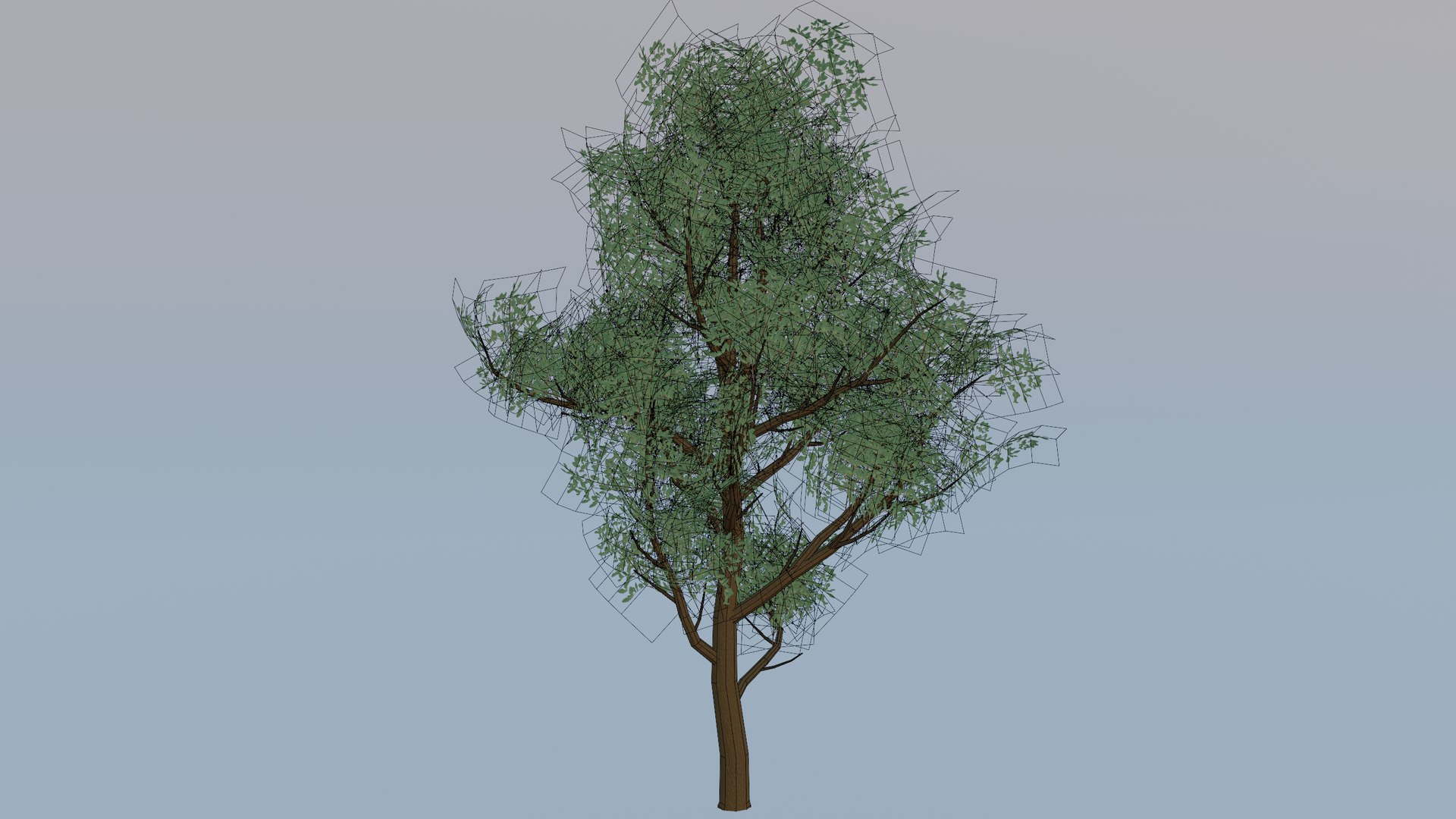 Simple Oak Tree Collection 3D Model - TurboSquid 2152460