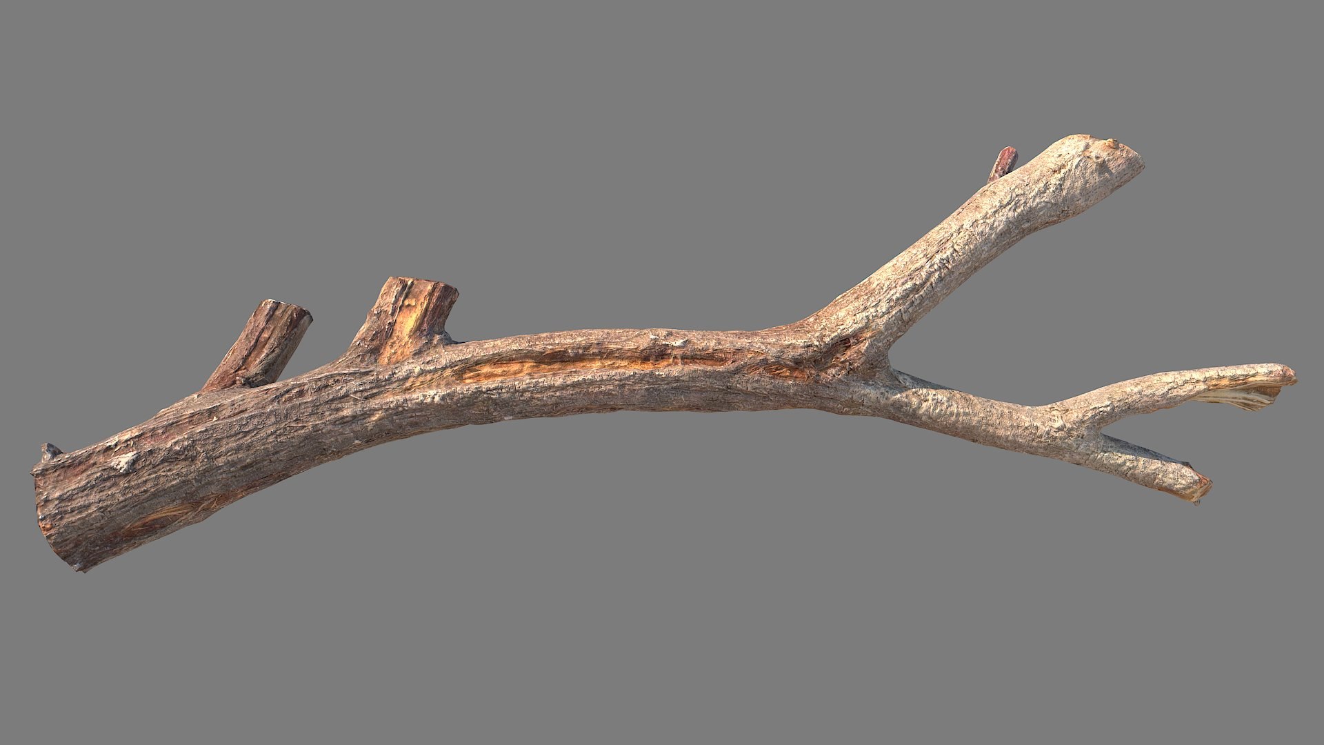 Twig Scanned 30 3D Model - TurboSquid 2088502