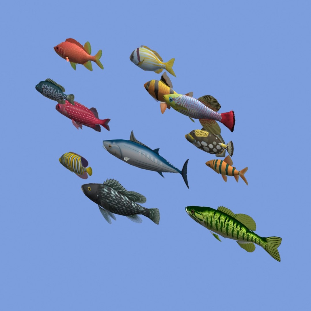 tropical fish 3d model