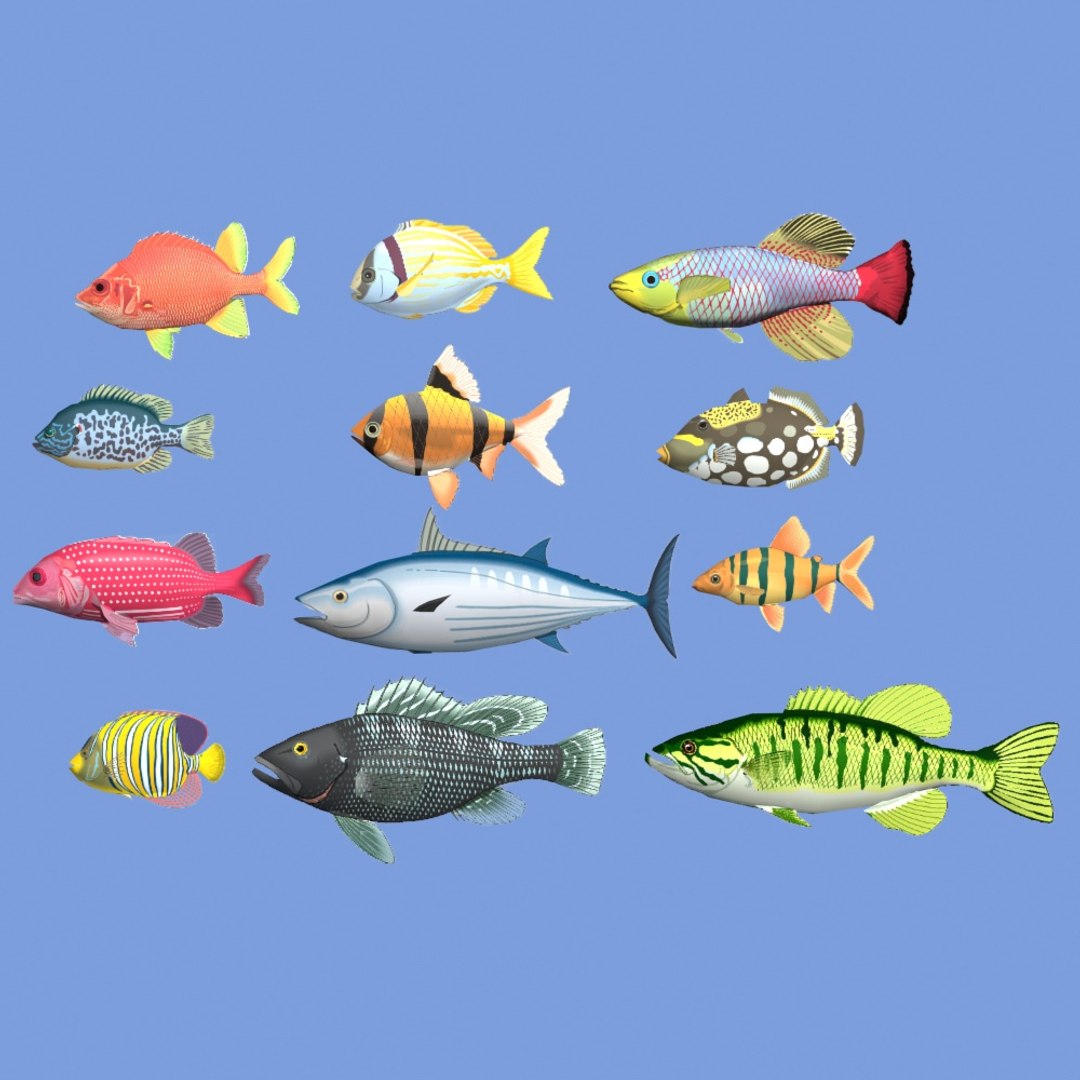 tropical fish 3d model