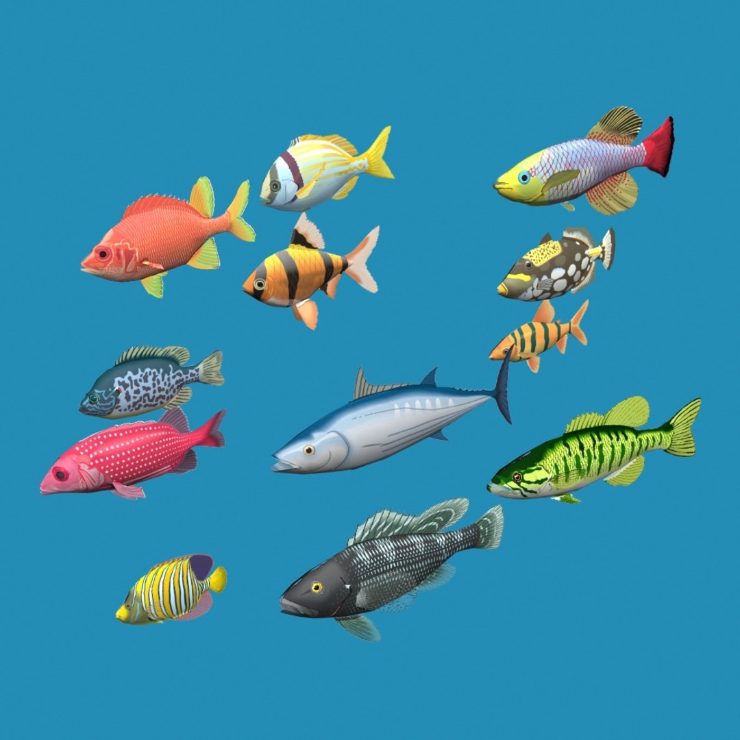tropical fish 3d model
