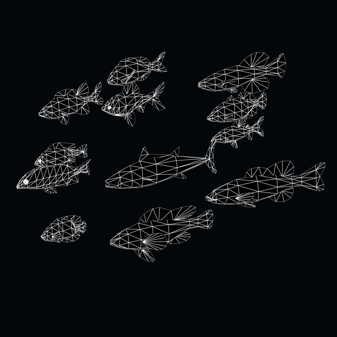 tropical fish 3d model