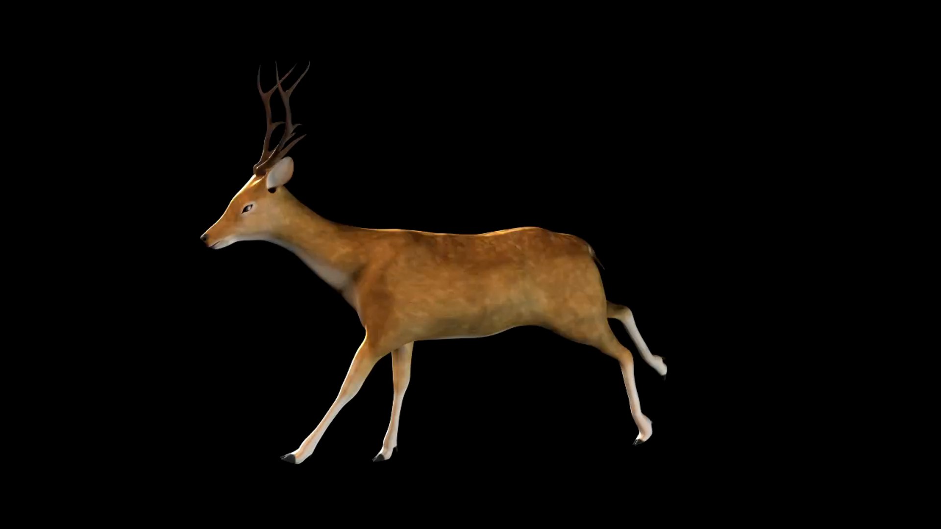 3d deer rig realistic