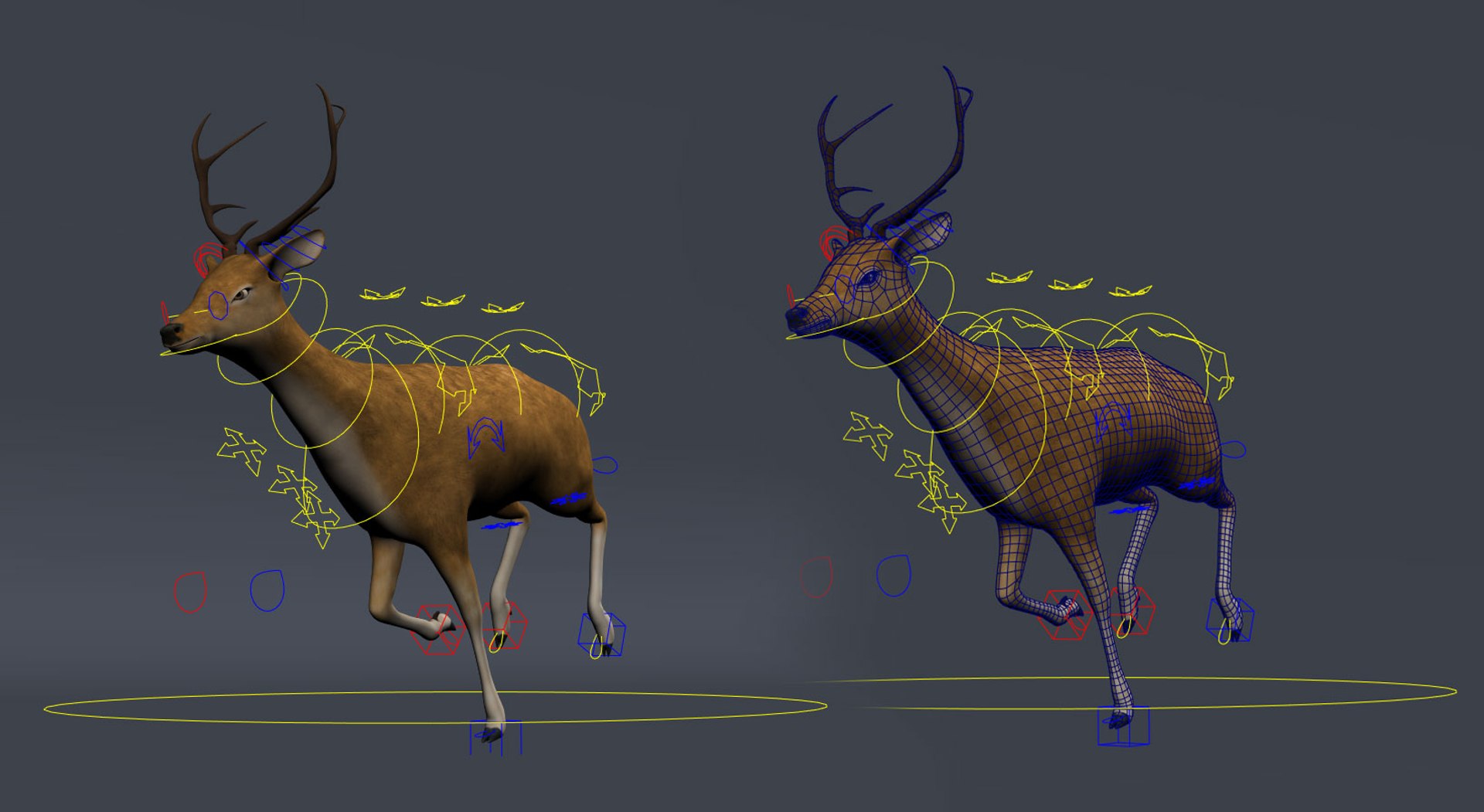 3d Deer Rig Realistic