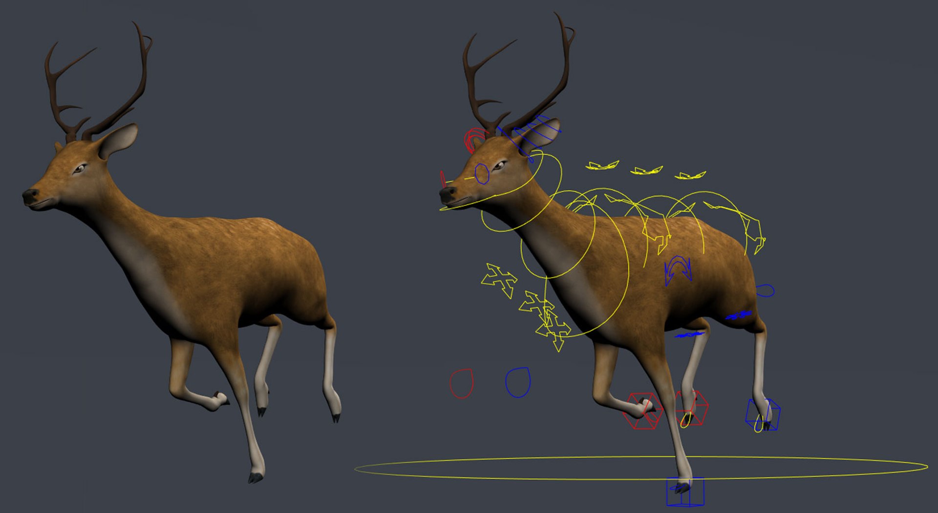 3d Deer Rig Realistic