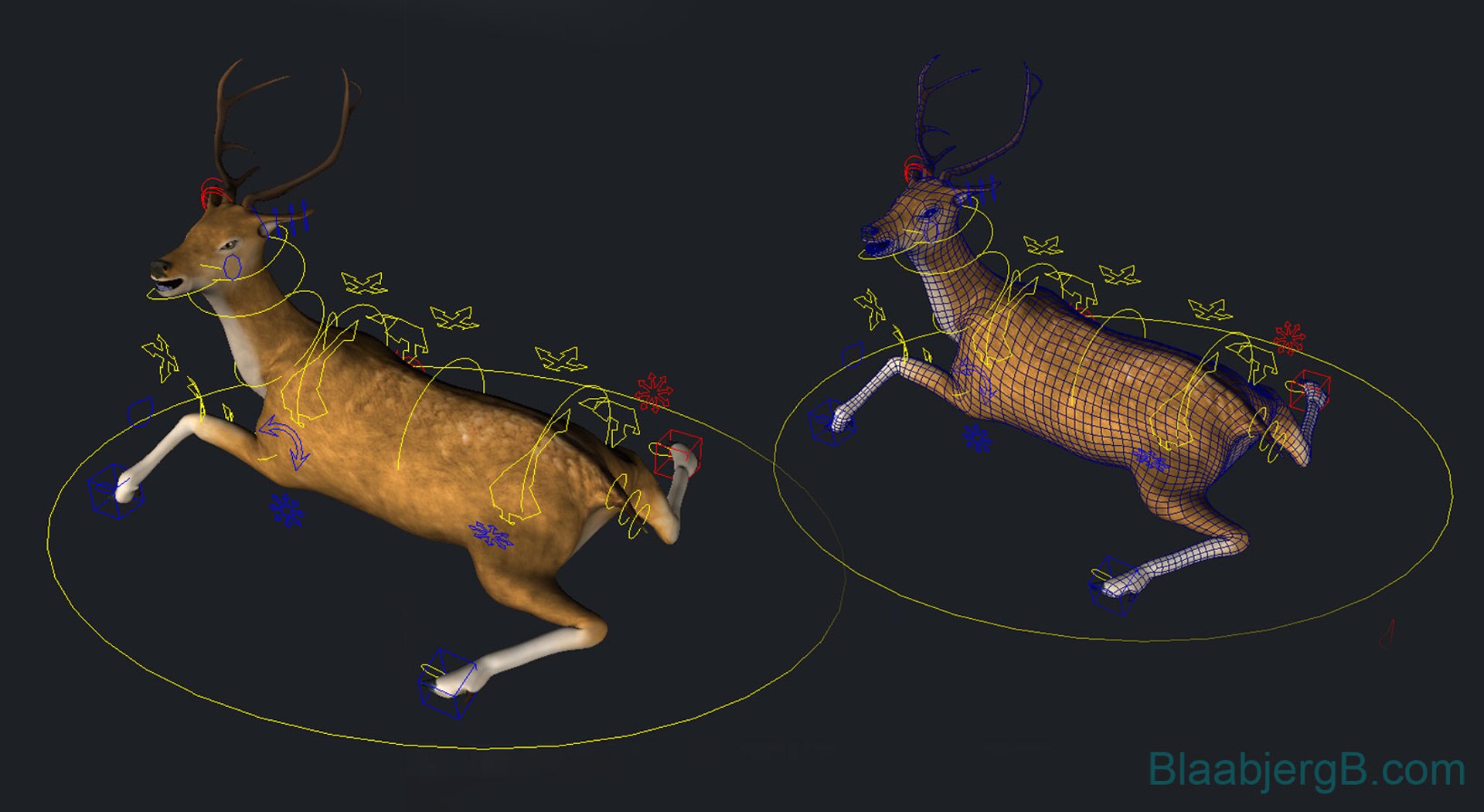 3d Deer Rig Realistic