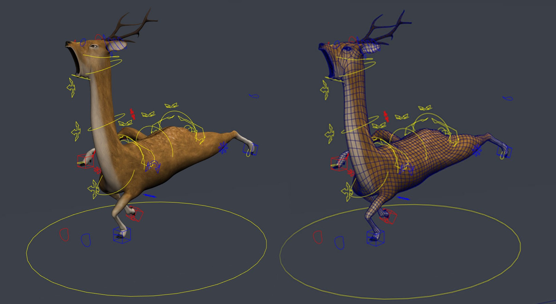 3d Deer Rig Realistic