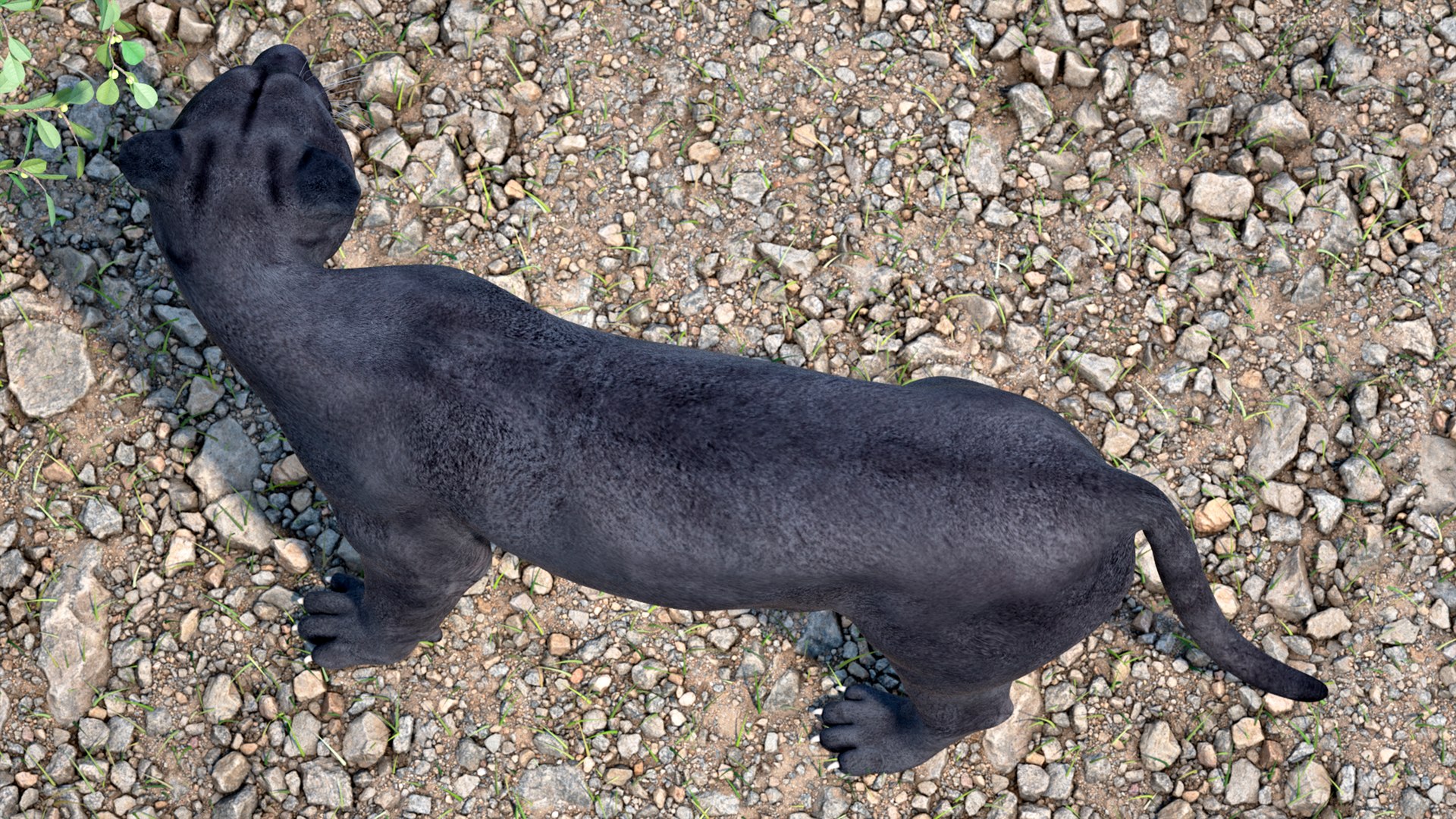 Black Panther Stand Pose 3D Model - TurboSquid 2217138