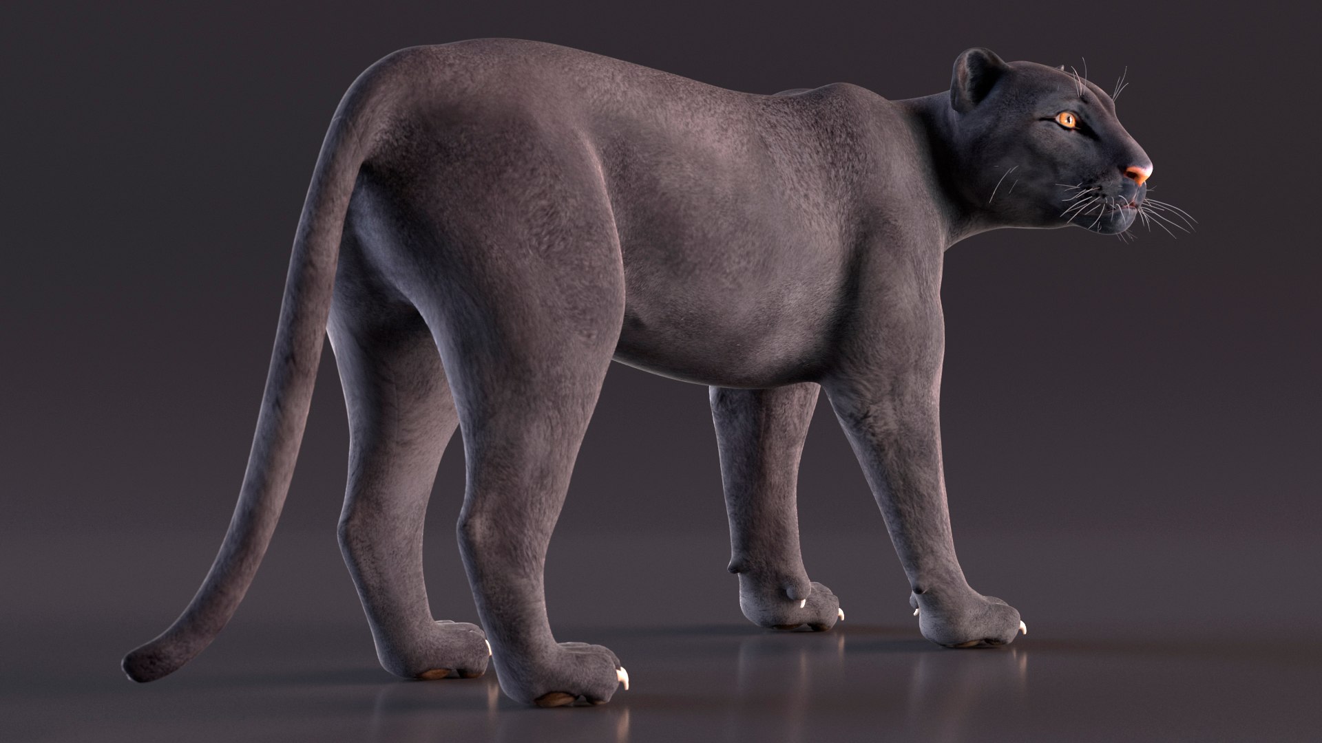 Black Panther Stand Pose 3D Model - TurboSquid 2217138