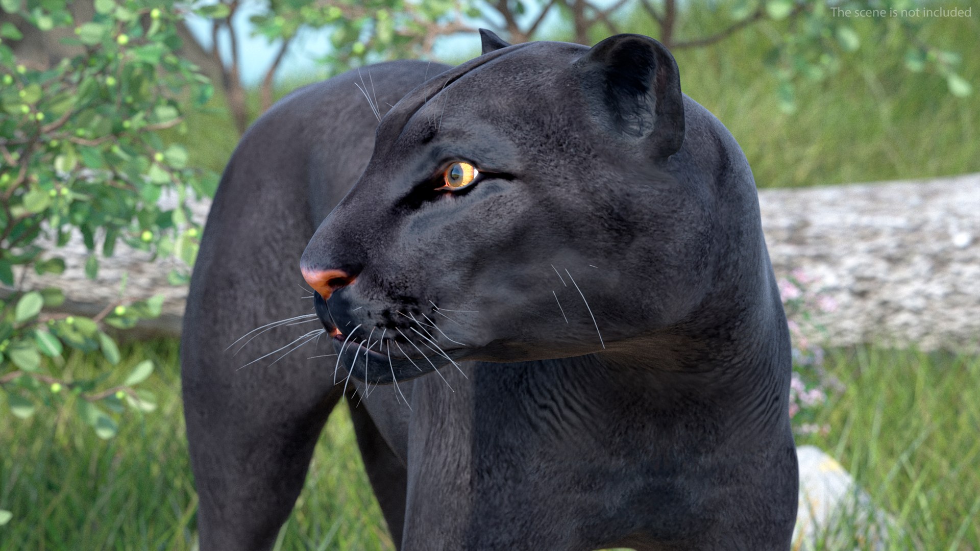 Black Panther Stand Pose 3D Model - TurboSquid 2217138