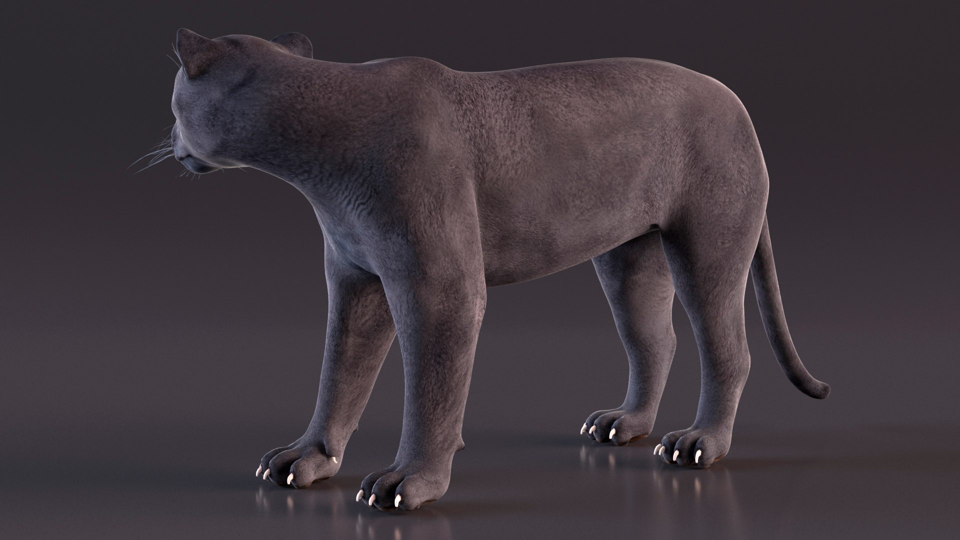 Black Panther Stand Pose 3D Model - TurboSquid 2217138