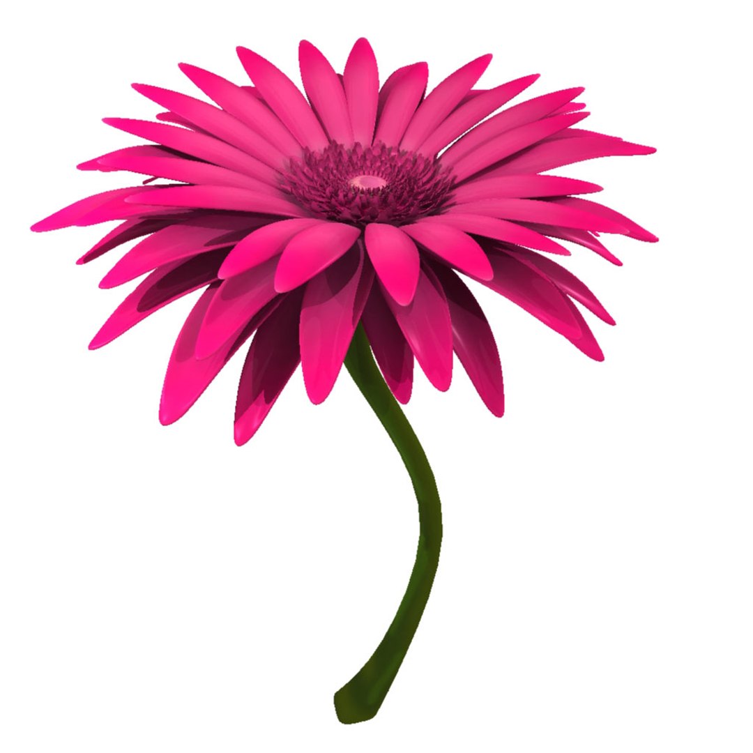 gerbera modeled 3d obj