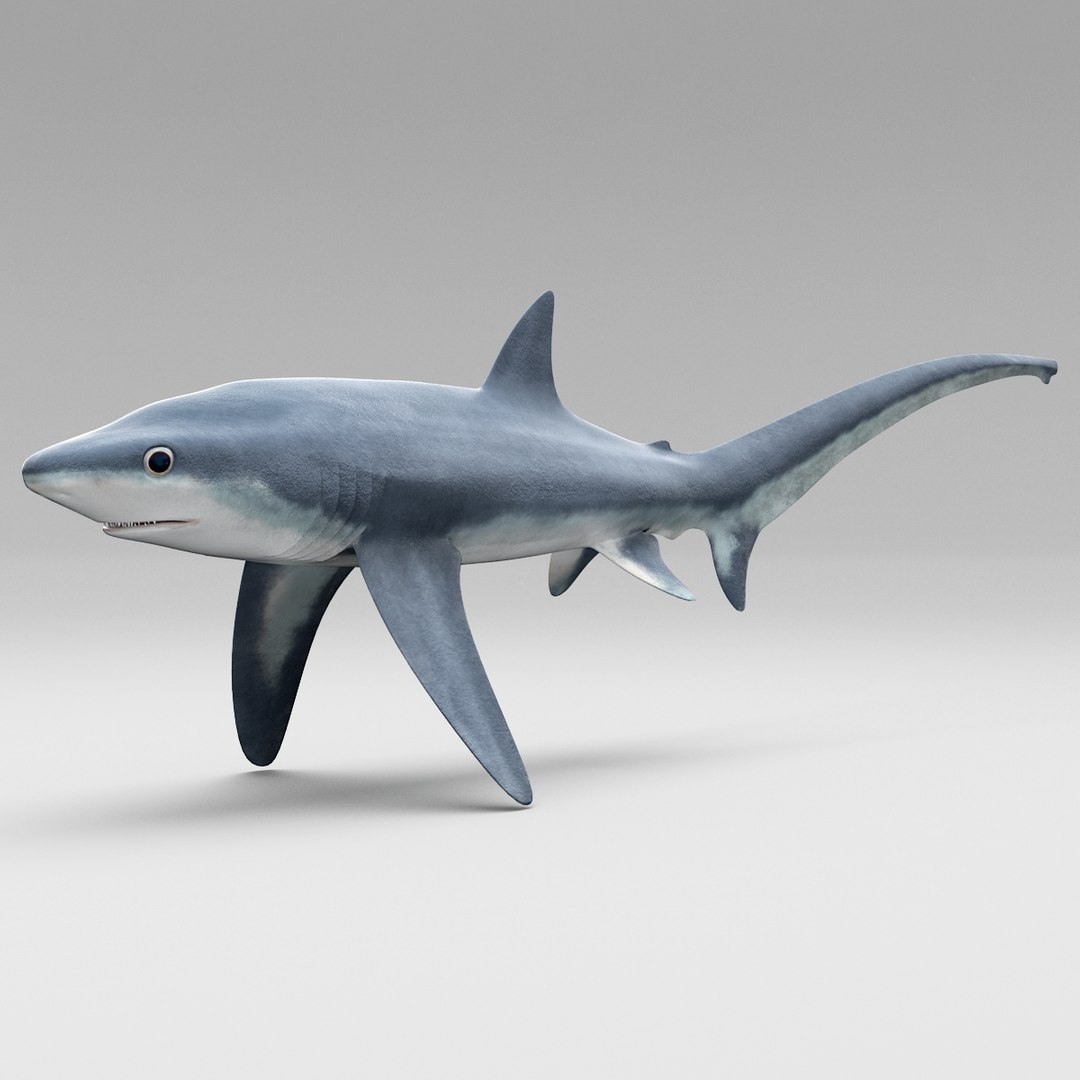 3ds Max Fox Shark