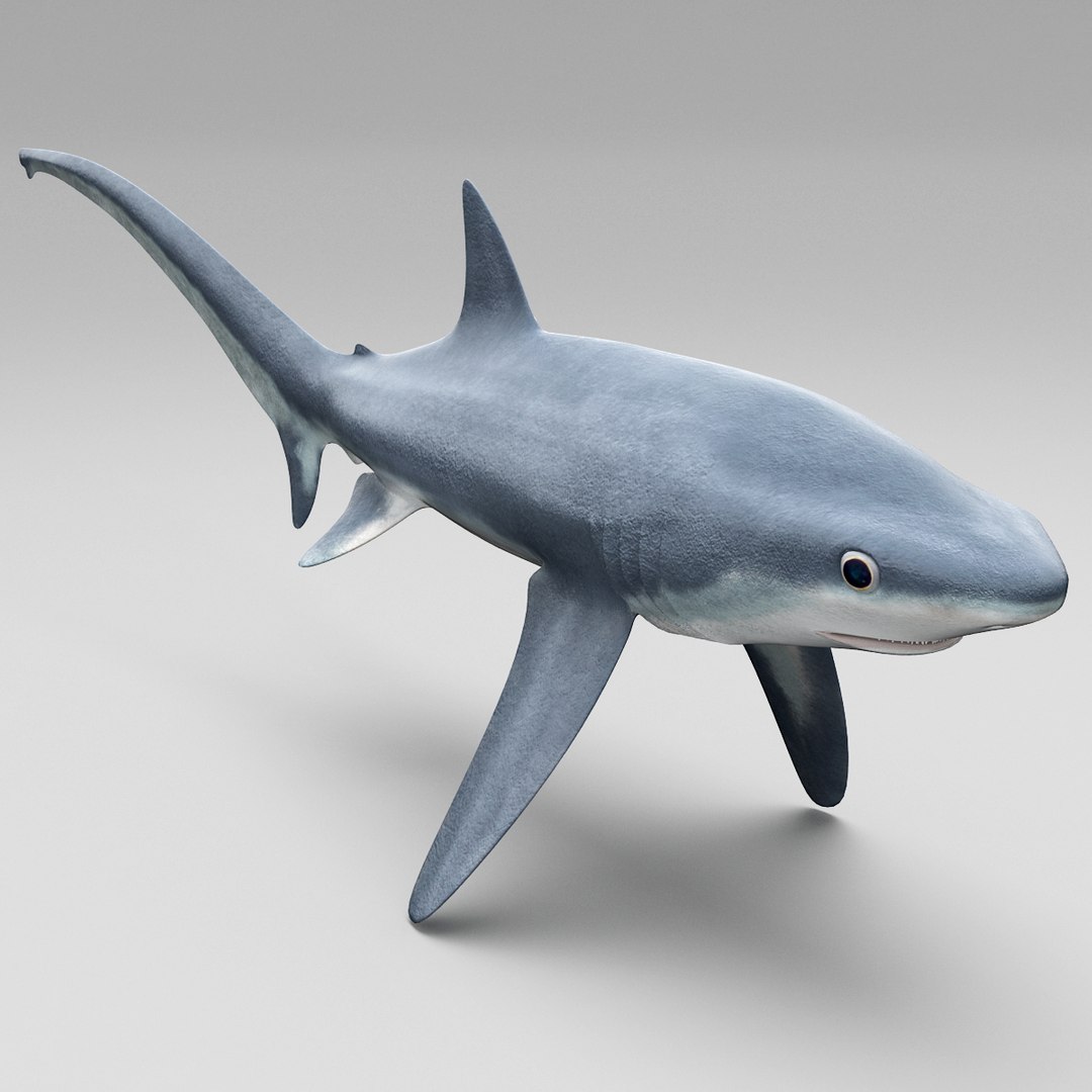 3ds Max Fox Shark