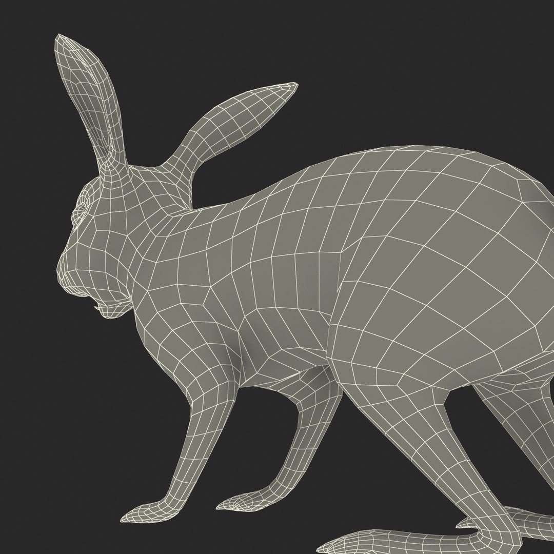 3d Rabbit Fur Hair Model