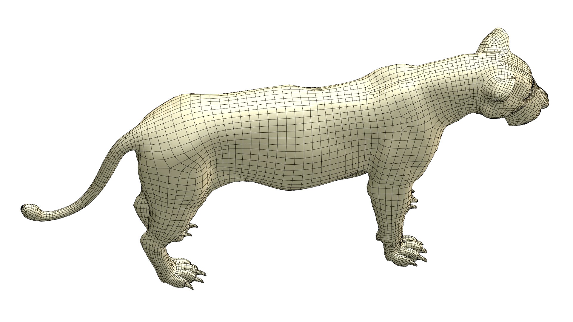 3D Lion - TurboSquid 2281355
