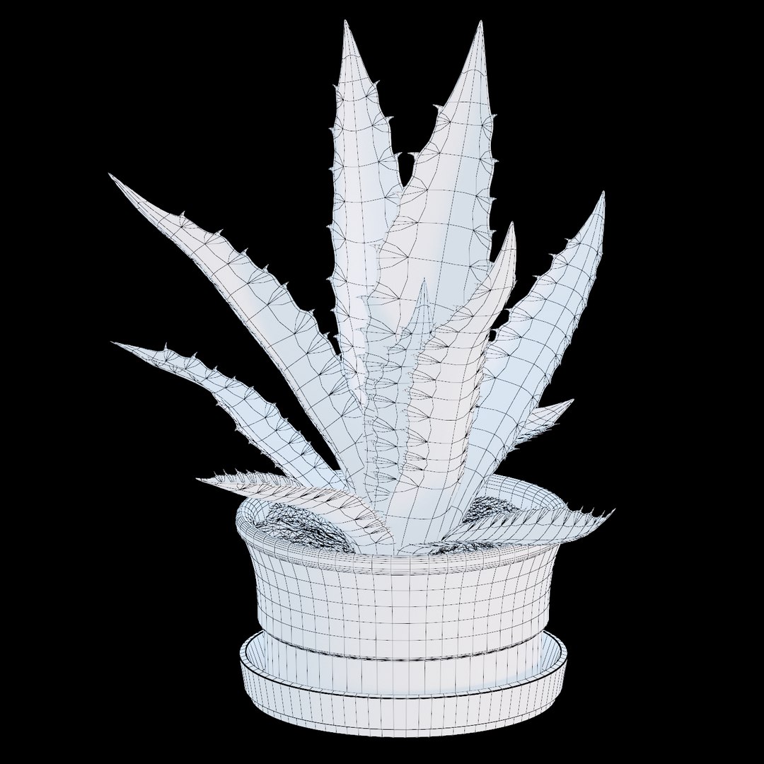 Agave Set Model - TurboSquid 1281446