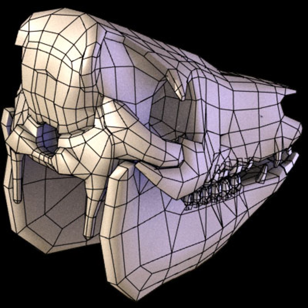 Pig Skeleton 3d Model