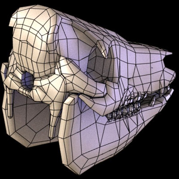 pig skeleton 3d model