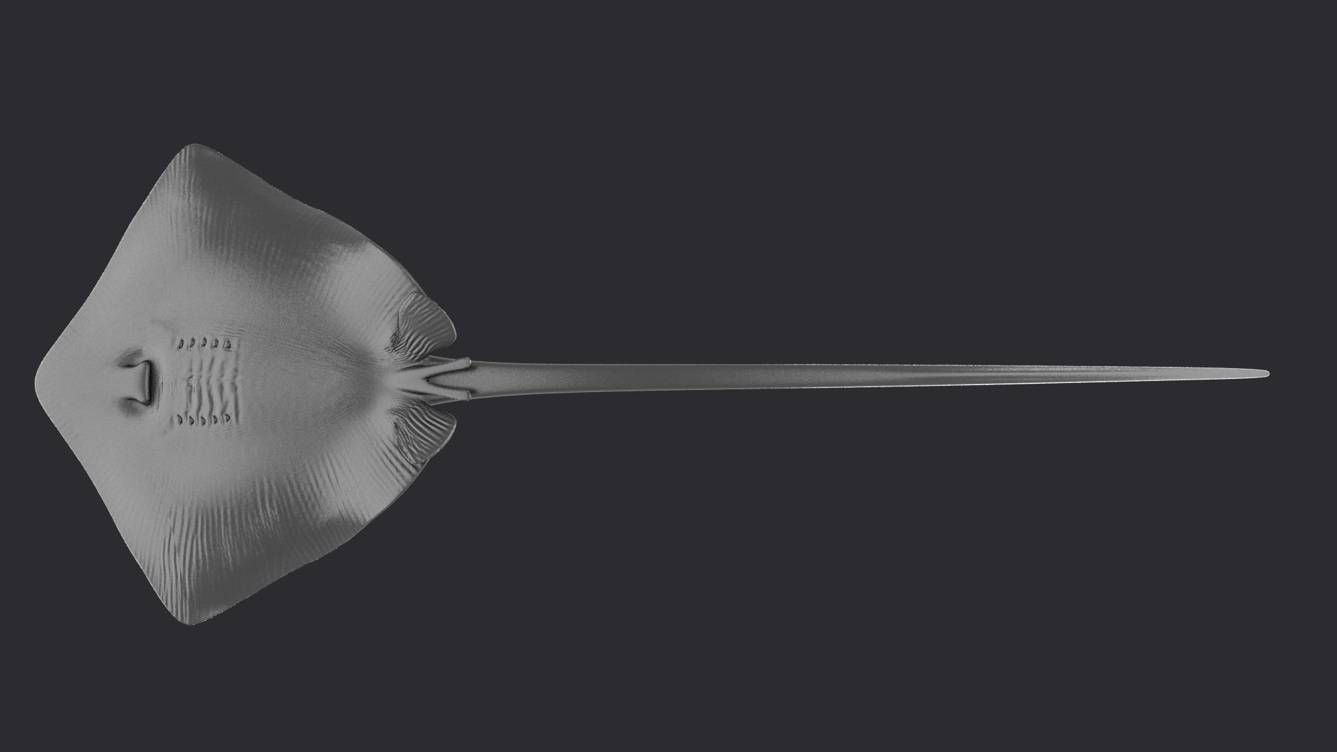 Stingray 3D - TurboSquid 2143441