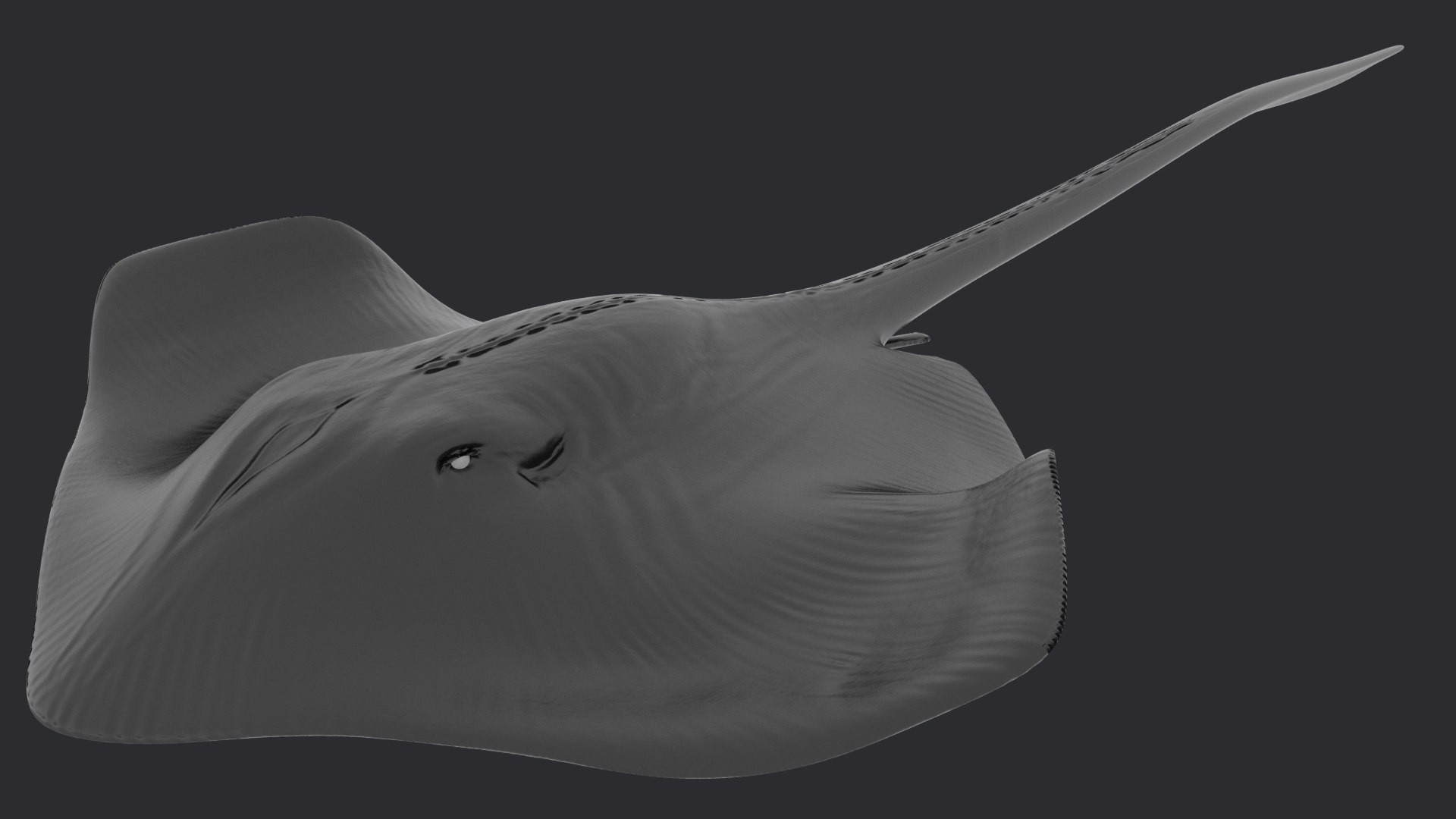 Stingray 3D - TurboSquid 2143441