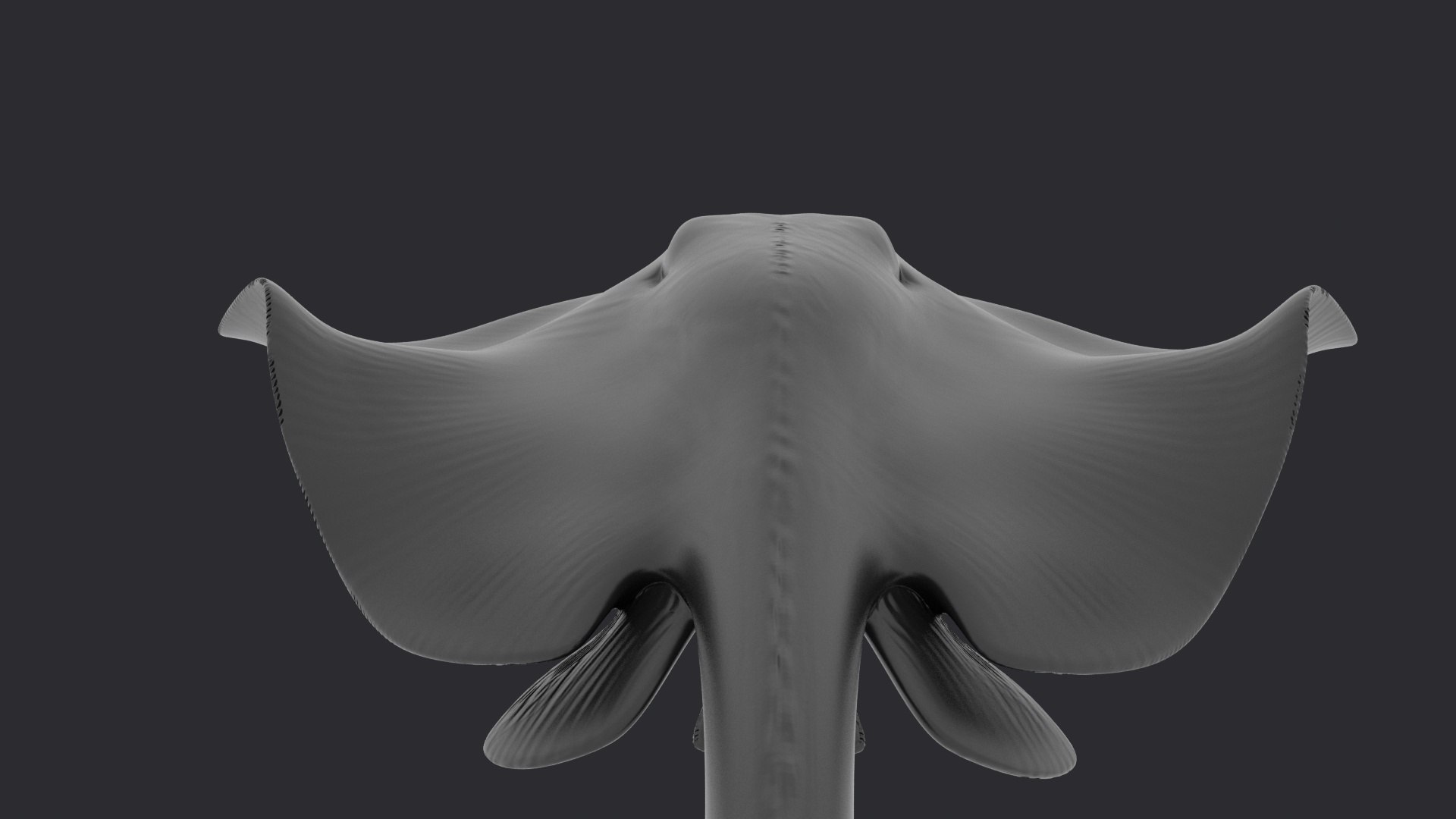 Stingray 3D - TurboSquid 2143441