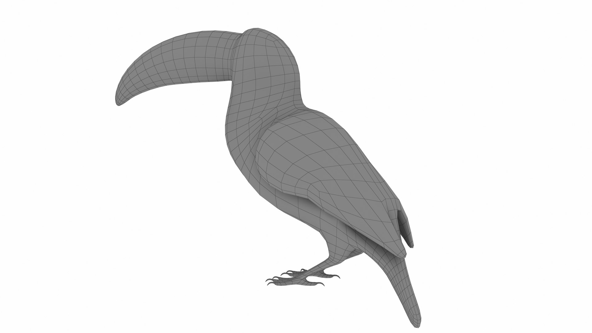 3D Model Toucan - TurboSquid 2335111