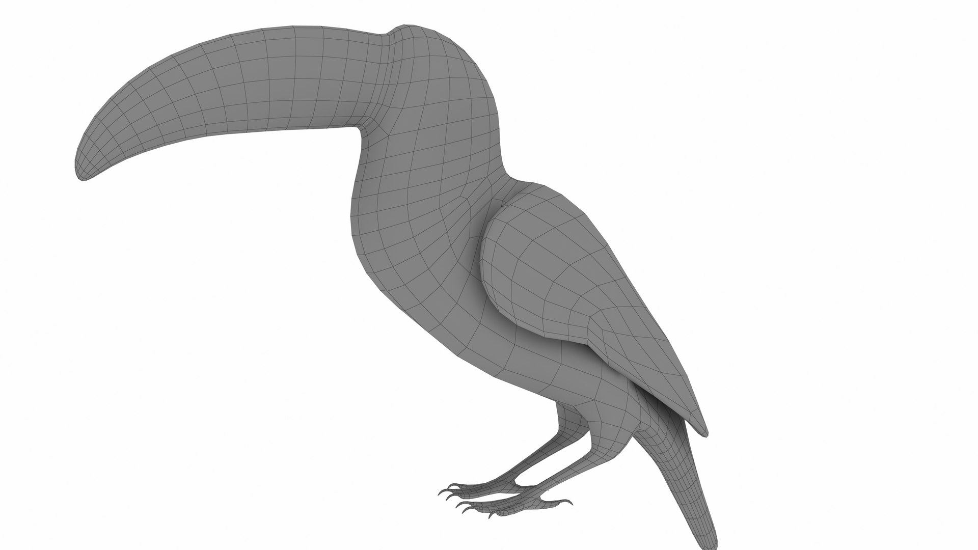3D Model Toucan - TurboSquid 2335111