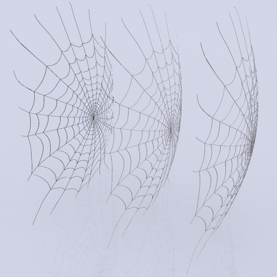 3d Model Spider Web