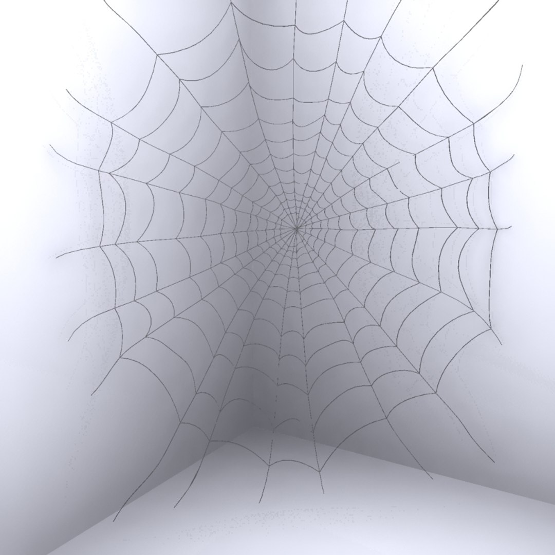 3d Model Spider Web