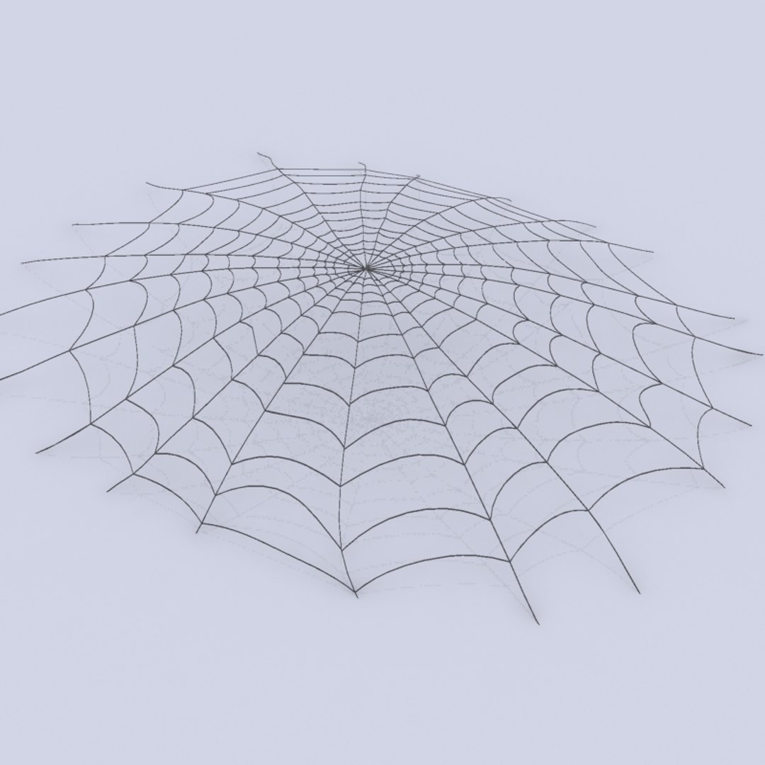 3d Model Spider Web