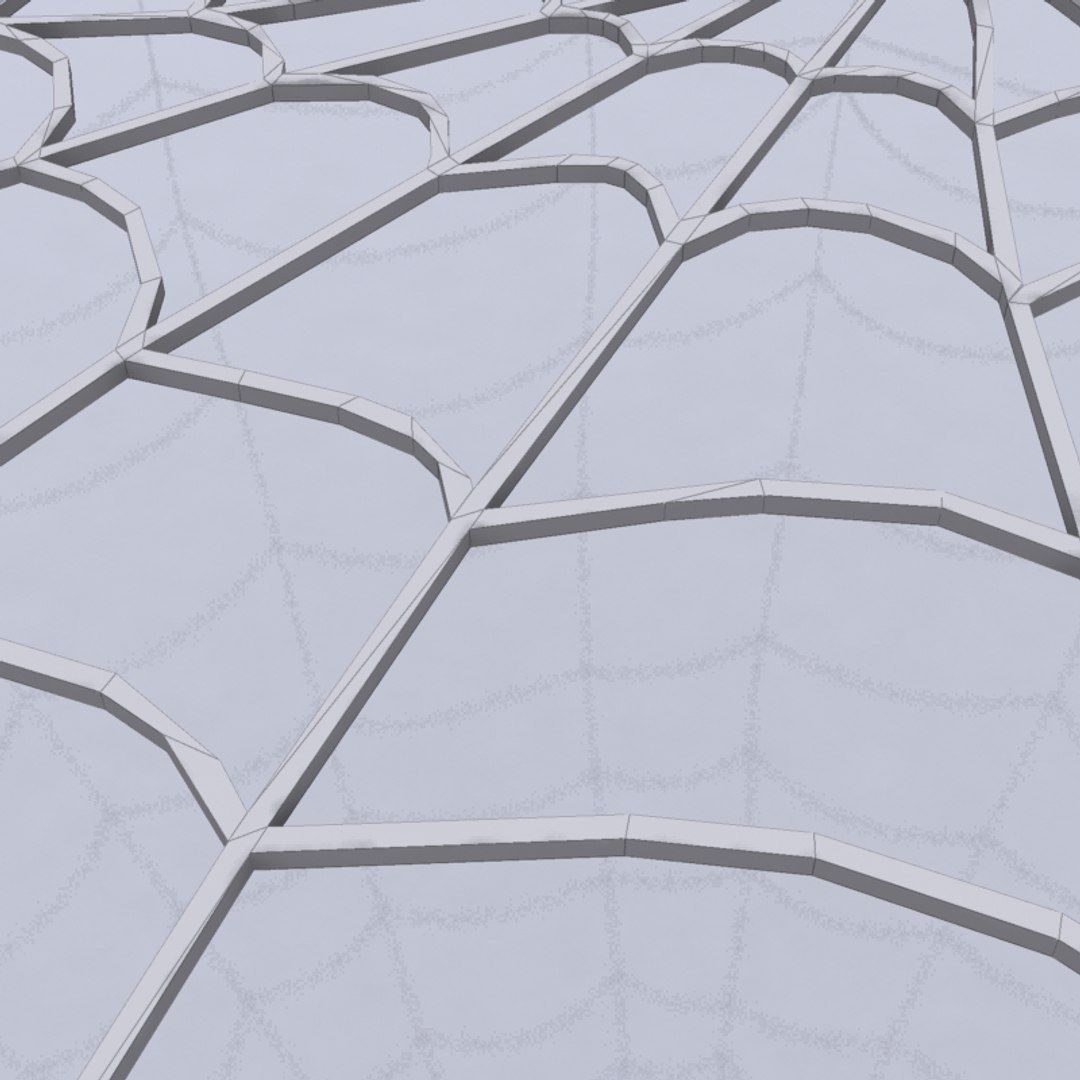 3d Model Spider Web